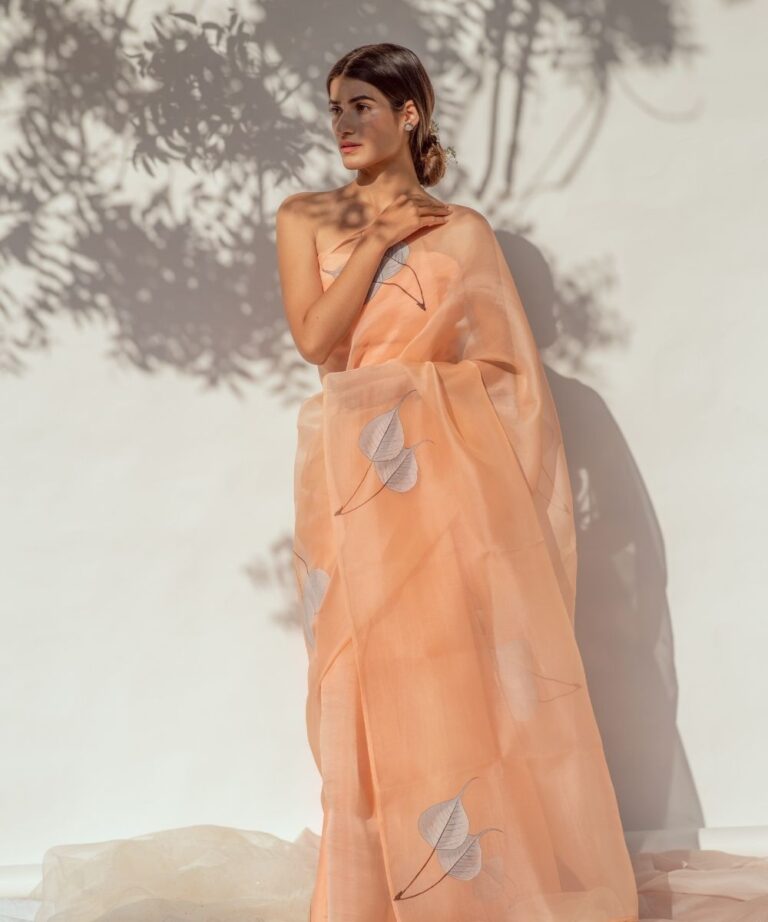 The Indian Roller Pure Silk Organza Light Teal Colour Saree - Kapardara