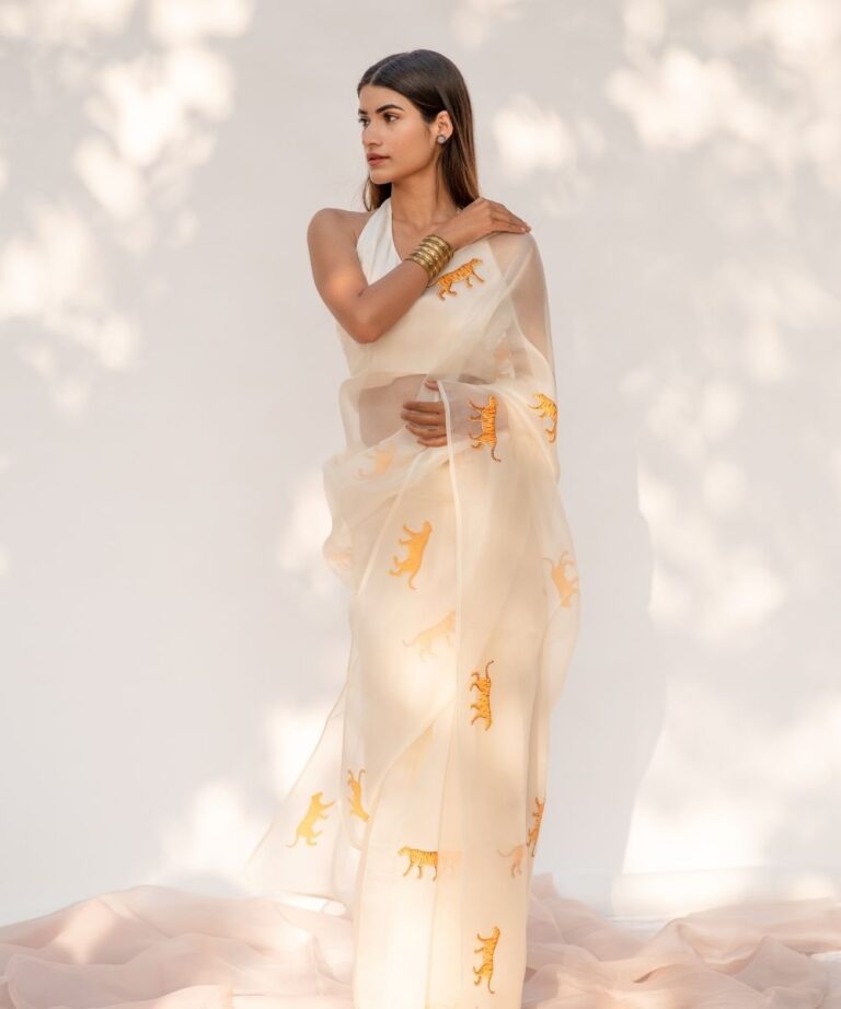 The Indian Roller Pure Silk Organza Light Teal Colour Saree - Kapardara ...