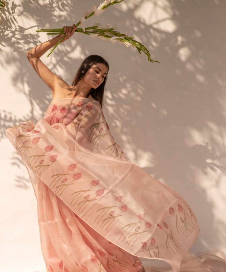 The Indian Roller Pure Silk Organza Light Teal Colour Saree - Kapardara ...